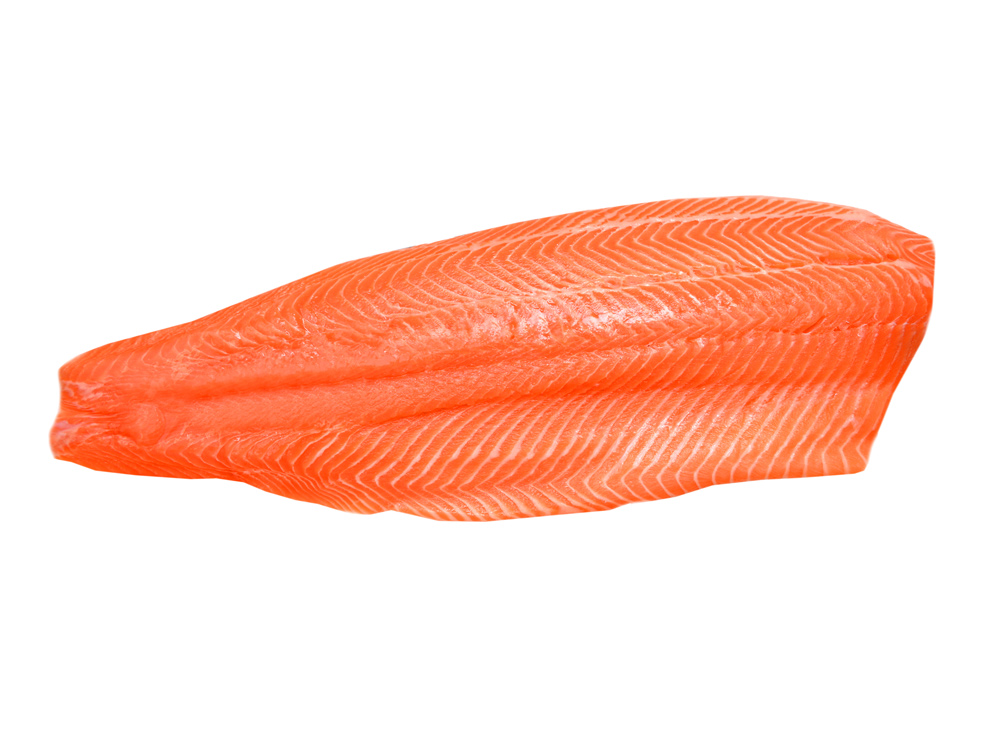 Salmon - Shell Fisheries