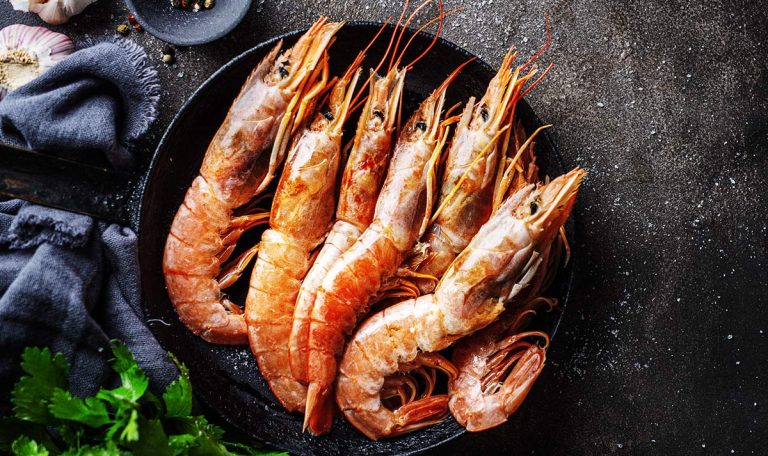 Major steps in the life cycle of a shrimp - Shell Fisheries